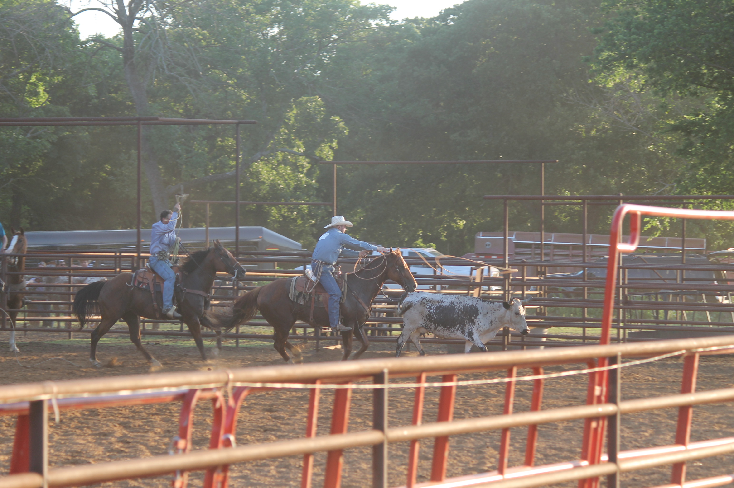 For Sale – Diamond B Ranch